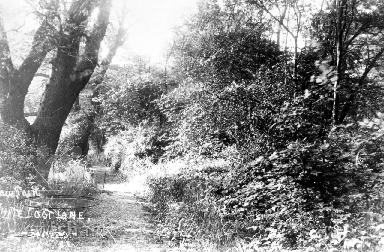 Whitefoot Lane - Lewisham Borough PhotosLewisham Borough Photos