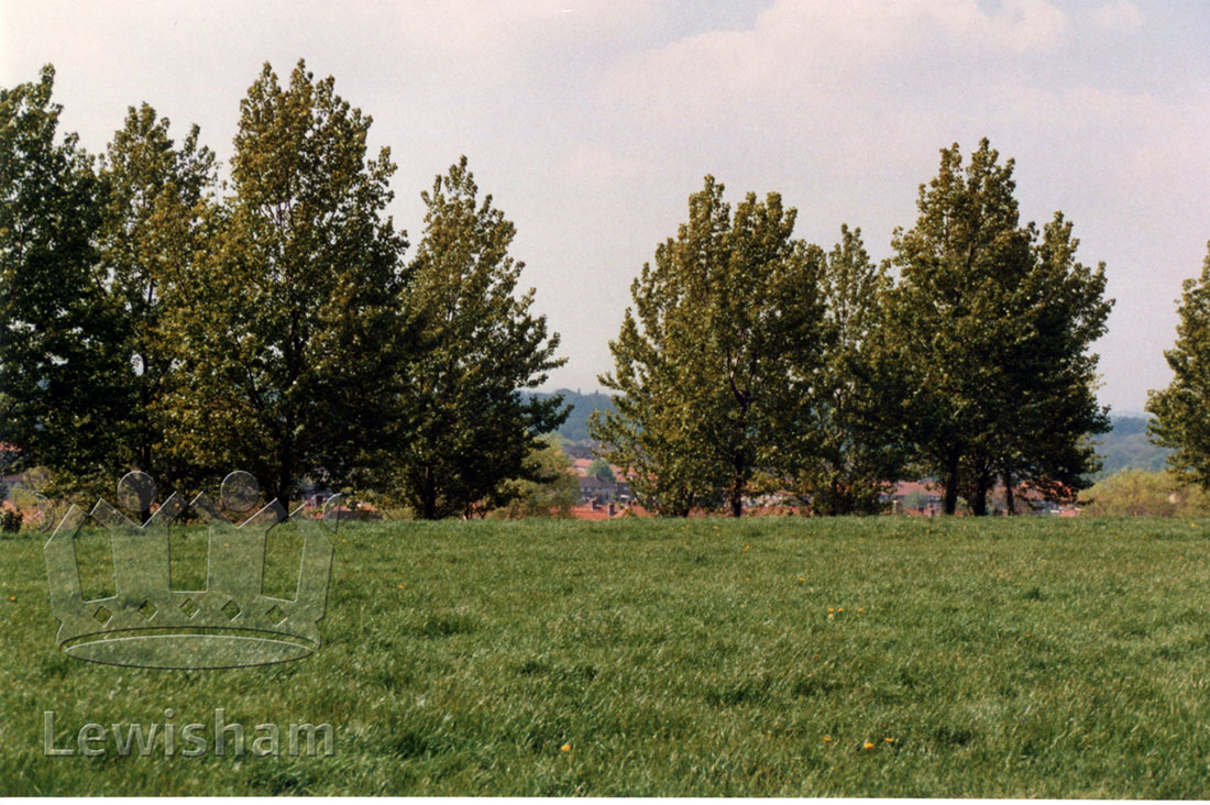 Downham Fields - Lewisham Borough PhotosLewisham Borough Photos