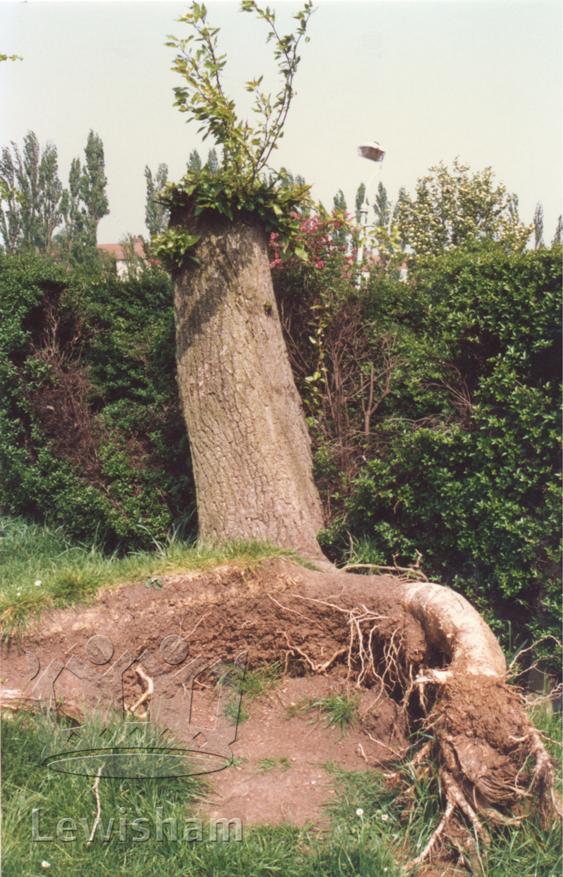 Chinbrook Meadows - Lewisham Borough PhotosLewisham Borough Photos